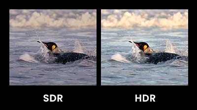 HDR vs SDR: Differences and How to Choose